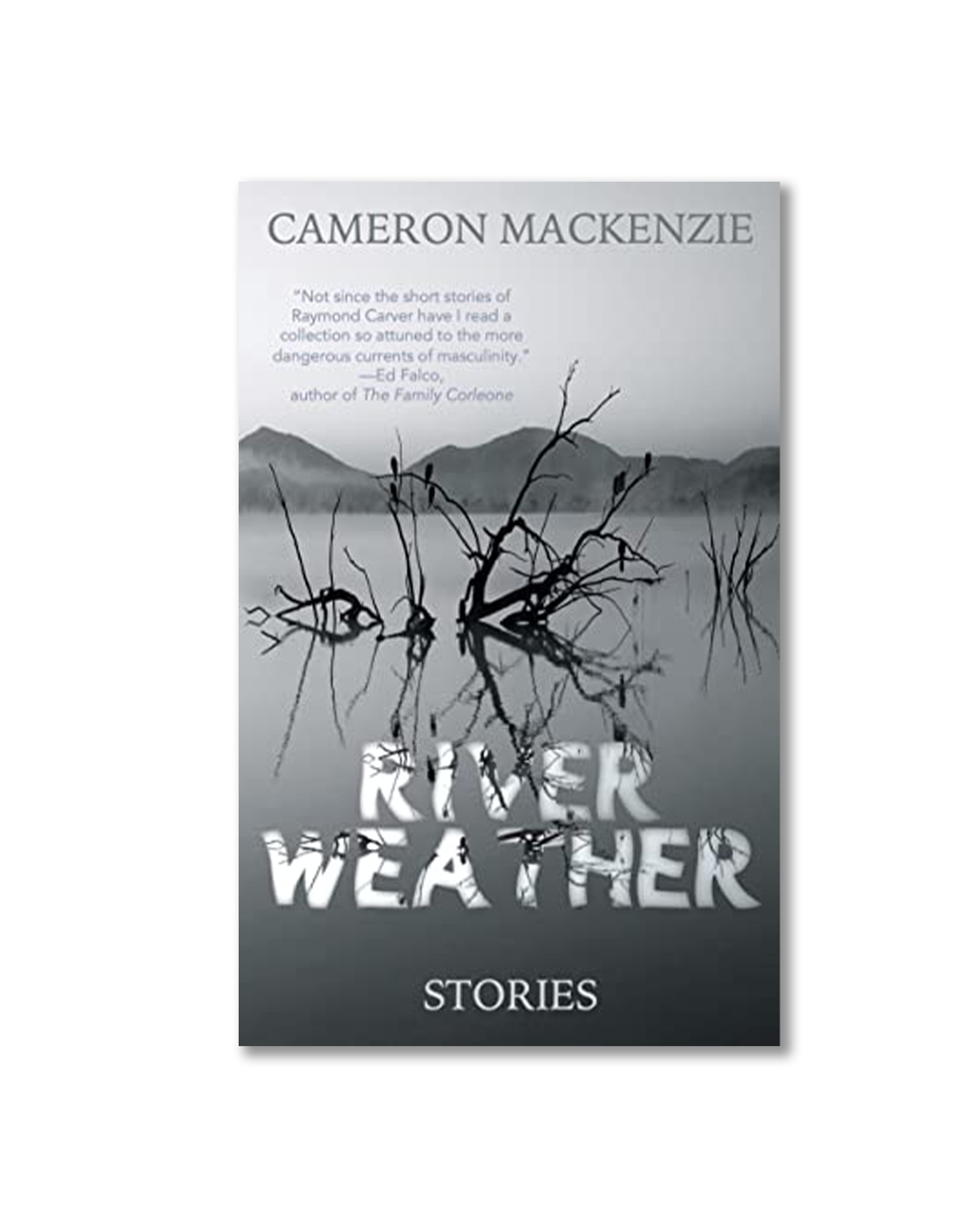 The Enormous Scope of Male Desperation: On Cameron MacKenzie's "River ...