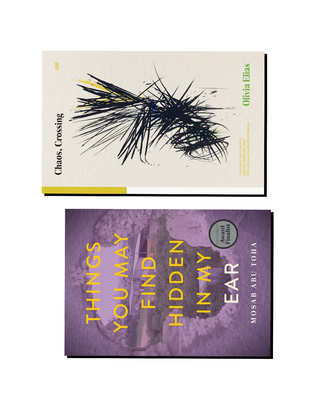 The Reader Will Not Be Saved: On Palestinian Poetry (in Translation ...