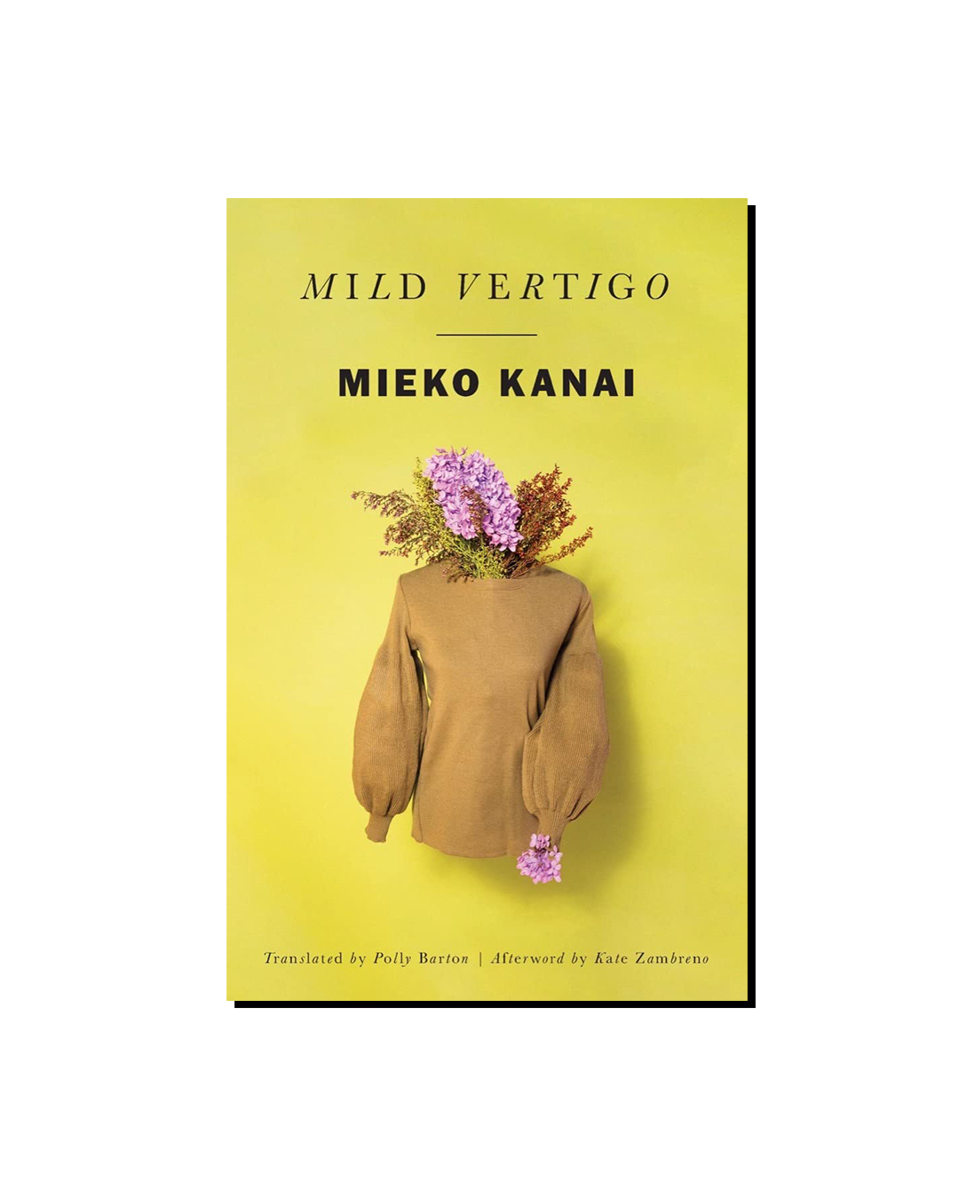 Sisyphean Domesticity: On Mieko Kanai’s “Mild Vertigo” - Cleveland ...