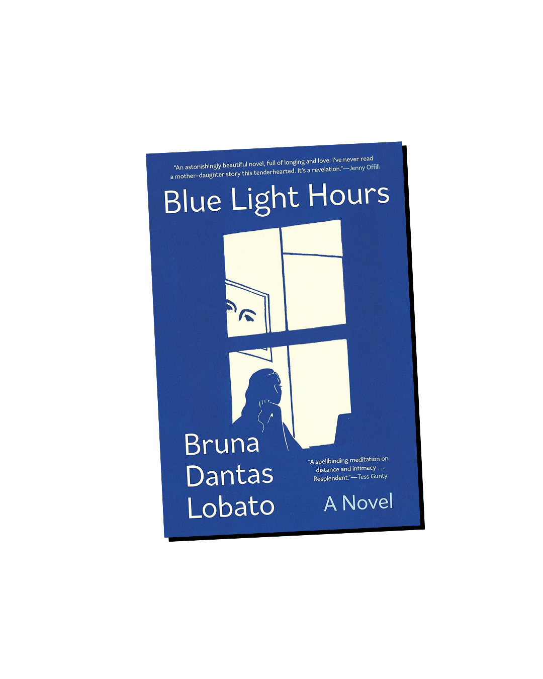 Found in Translation: On Bruna Dantas Lobato’s “Blue Light Hours ...