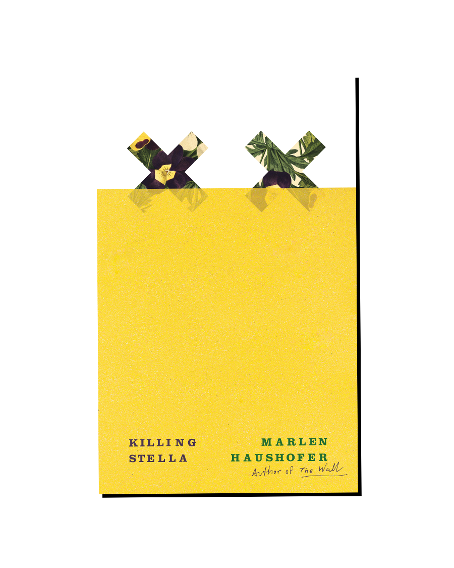 The call is coming from inside the house: On Marlen Haushofer’s "Killing Stella" - Cleveland ...