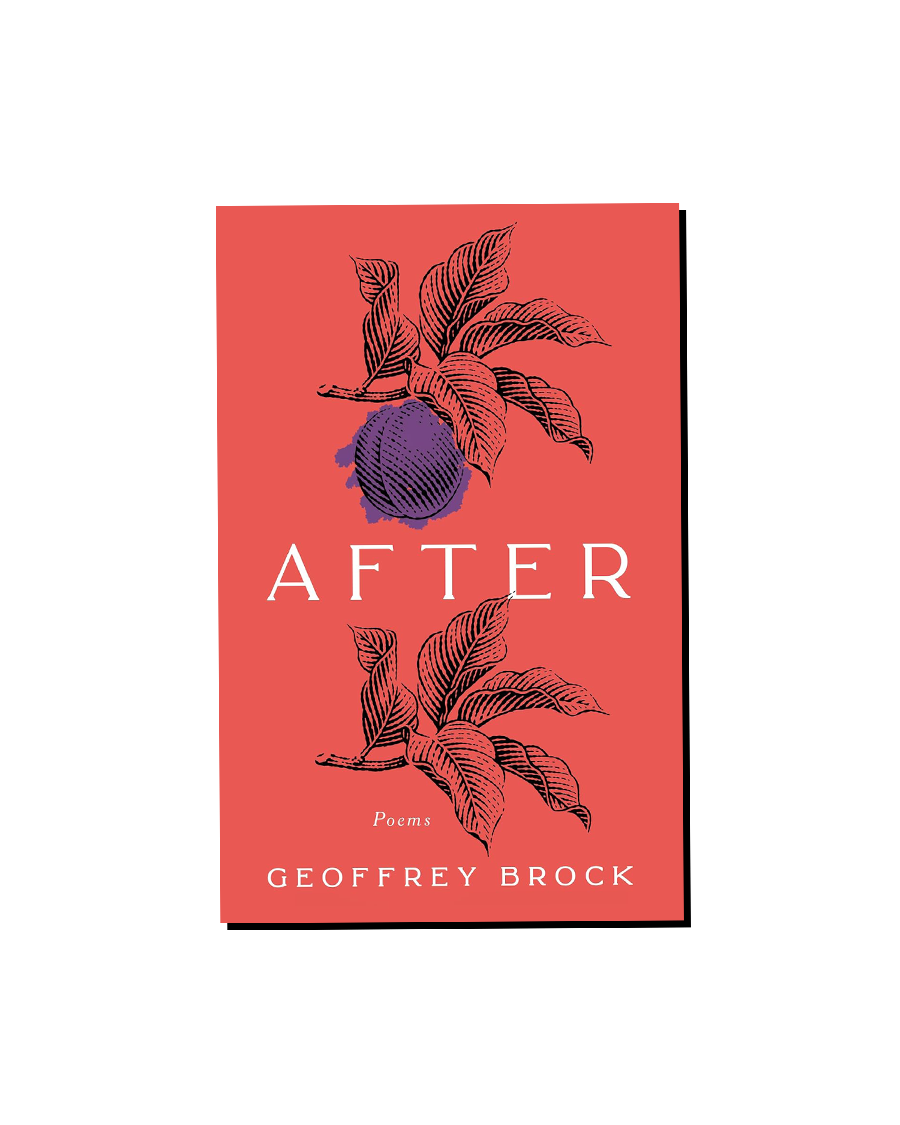 Middle Grounds: On Geoffrey Brock’s “After” - Cleveland Review of Books